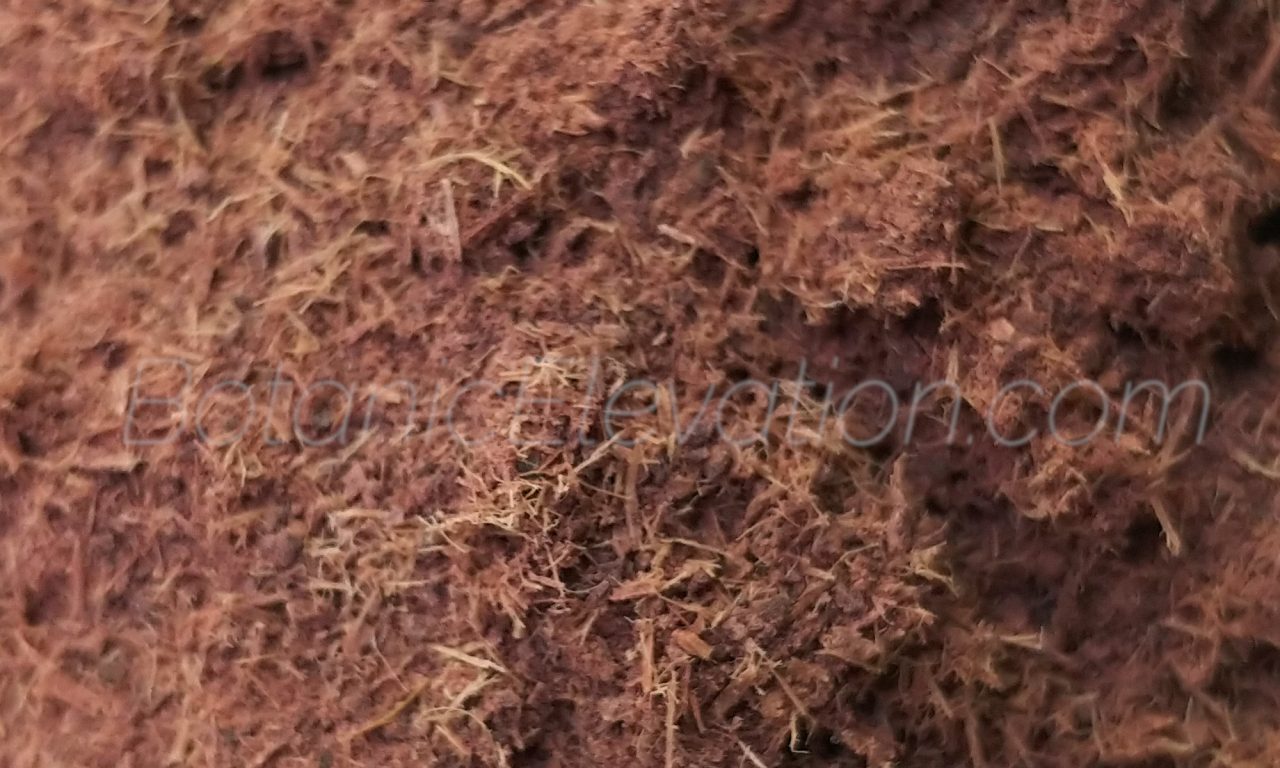 Mimosa Hostilis Root Bark (shredded) - Botanic Elevation