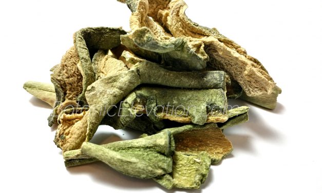 San Pedro/Huachuma Cactus Powder - Botanic Elevation